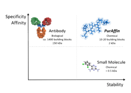 Technology | 3B Pharmaceuticals GmbH